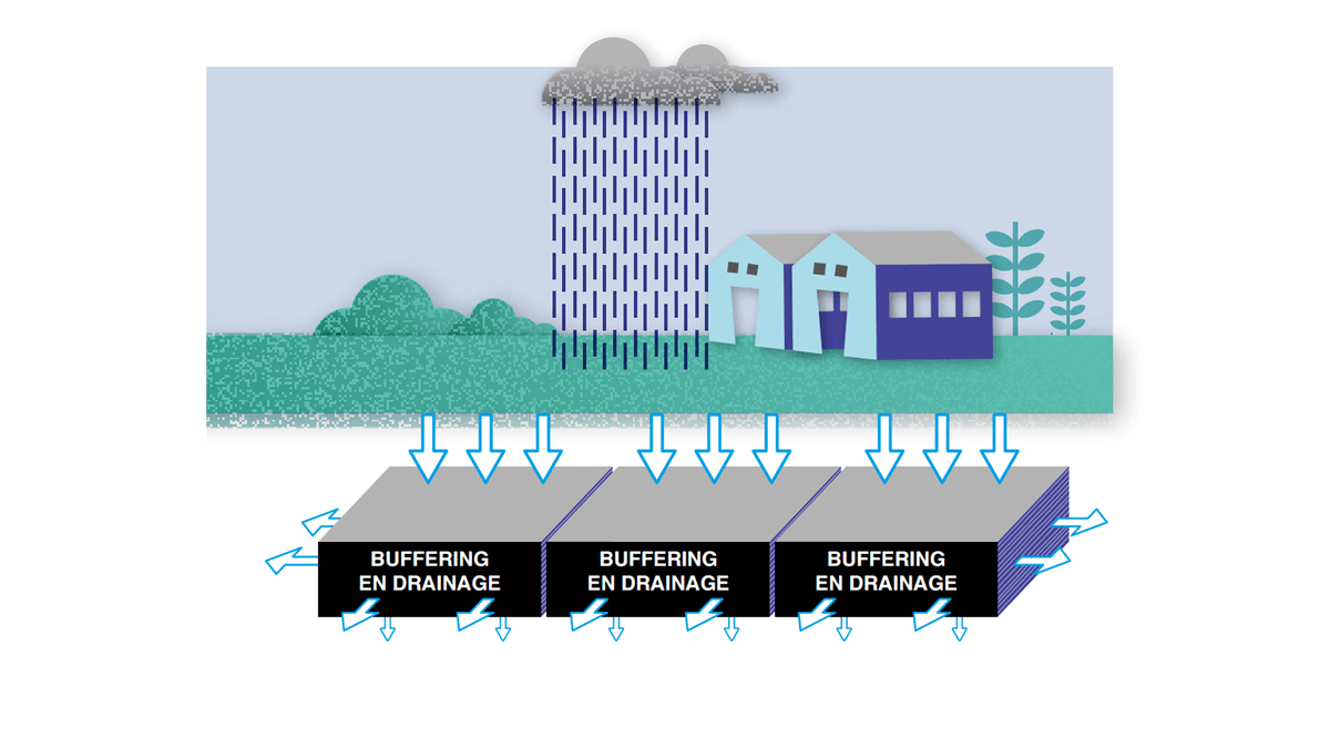 Regenwater eenvoudig infiltreren in de tuin • Stip Hoveniers